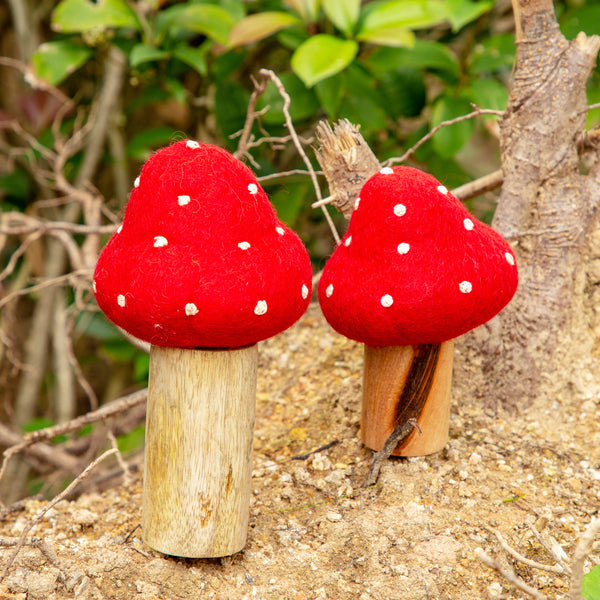 Woodland toadstools – 大樹孩子生活館 Tree Children's Lodge