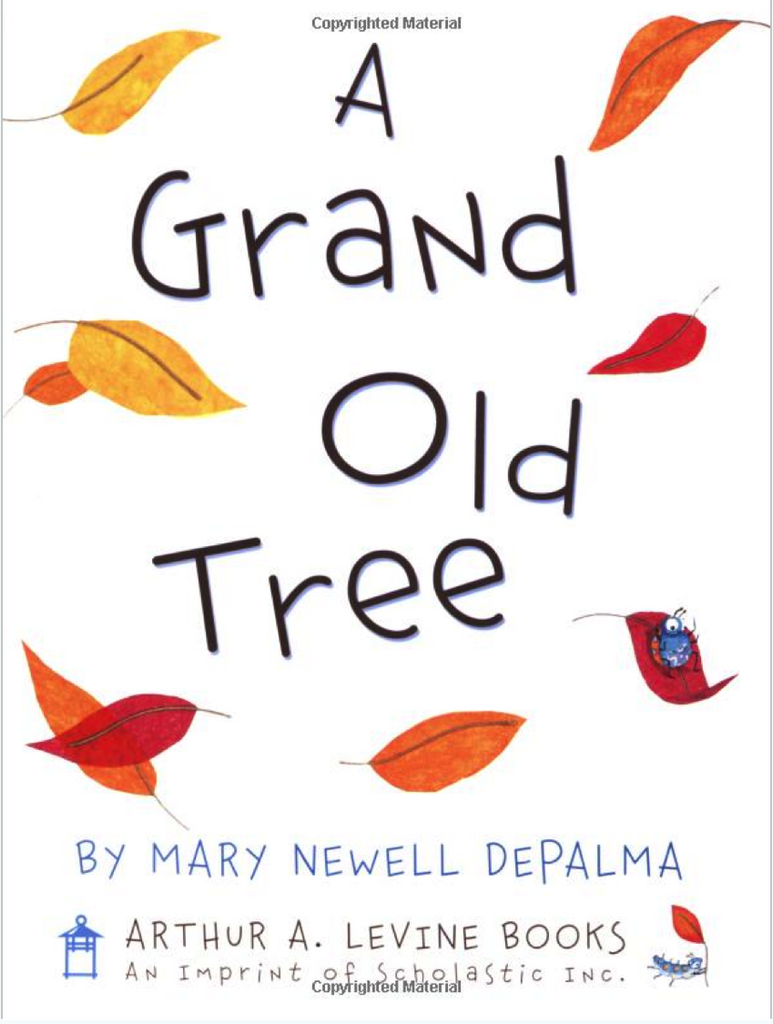 A Grand Old Tree – 大樹孩子生活館 Tree Children's Lodge